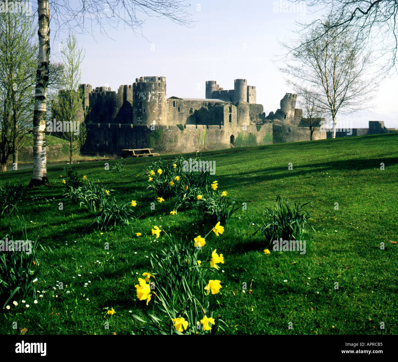 Caerphilly castle wales spring hi-res stock photography and images - Alamy