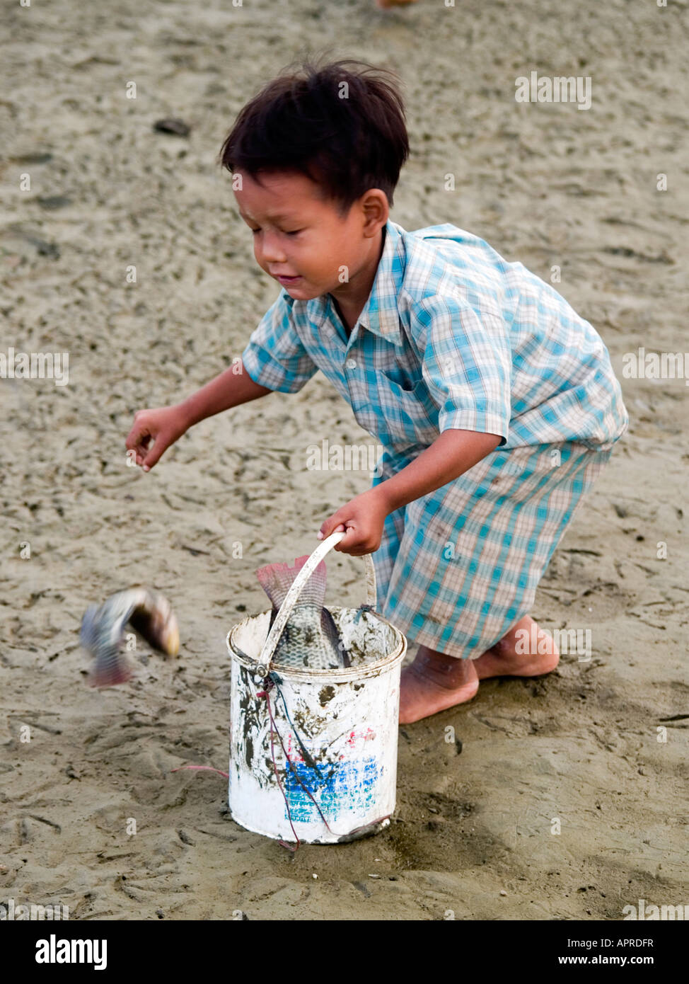 Flipping fish hi-res stock photography and images - Alamy