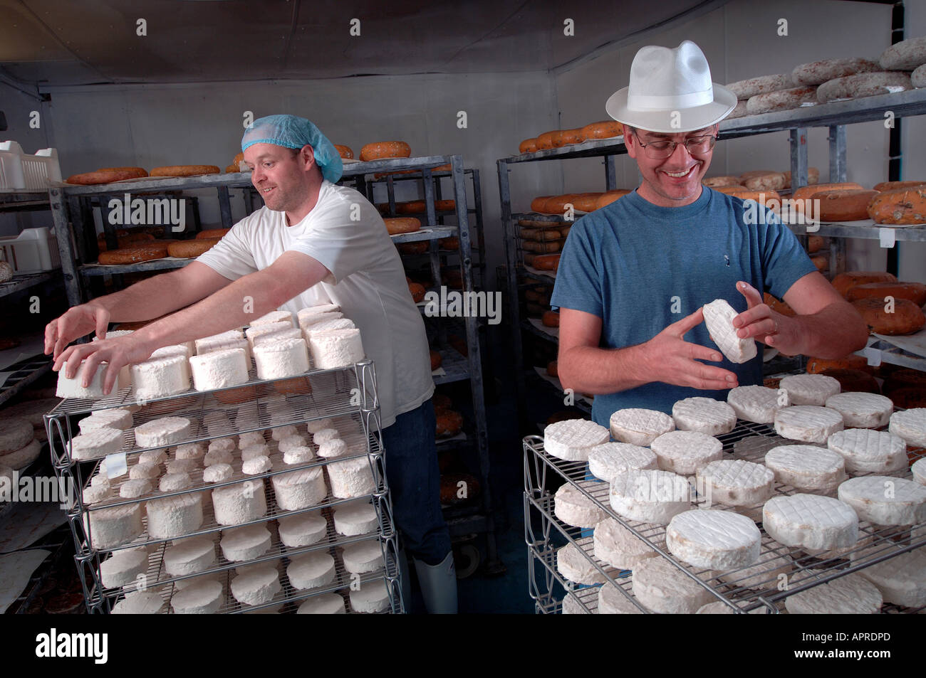 two men producing homemade goats cheese in a freezer Stock Photo - Alamy