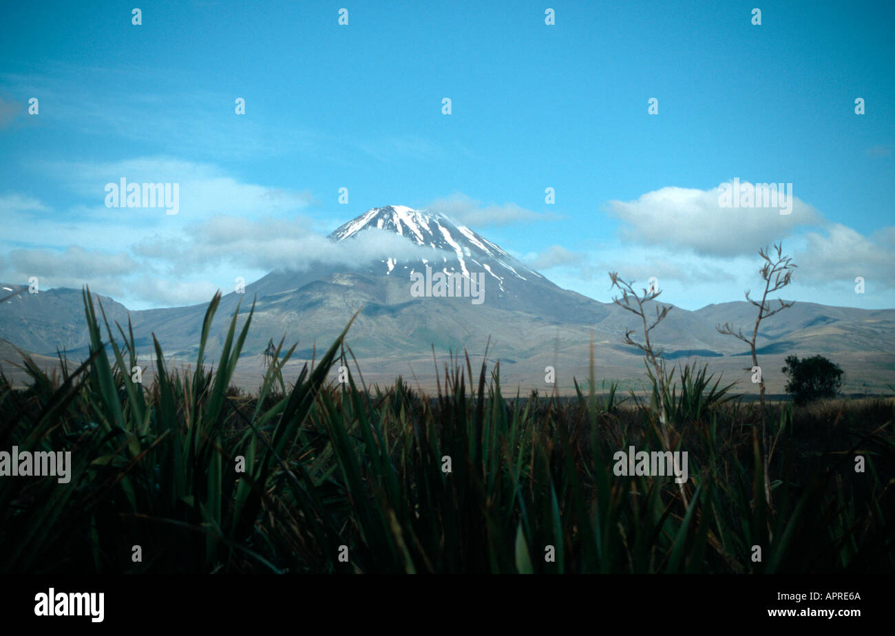 Perfect cone shape hi-res stock photography and images - Alamy