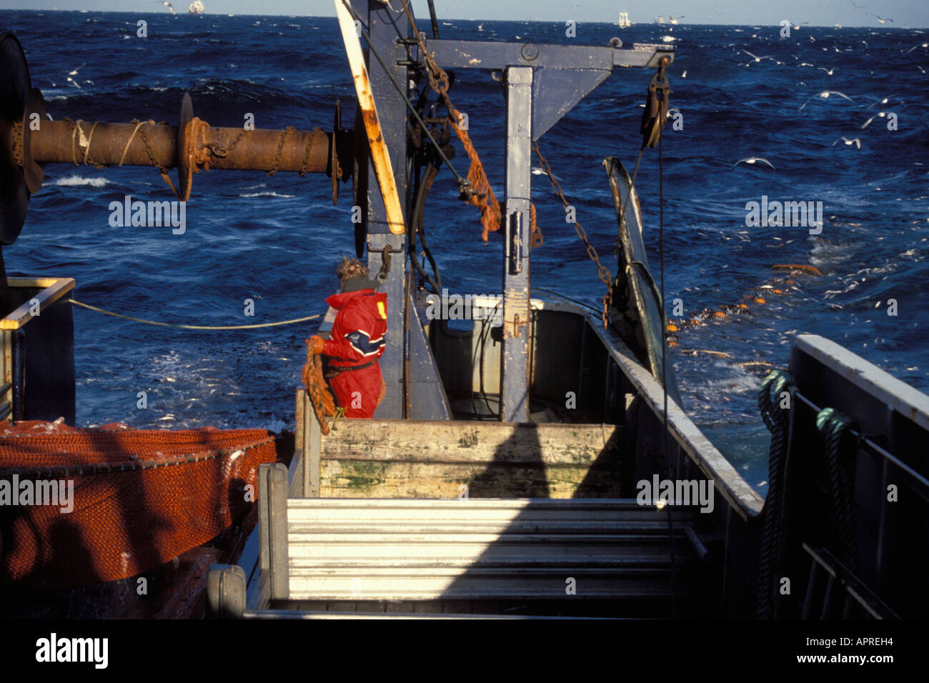 Walleye pollock net hi-res stock photography and images - Alamy