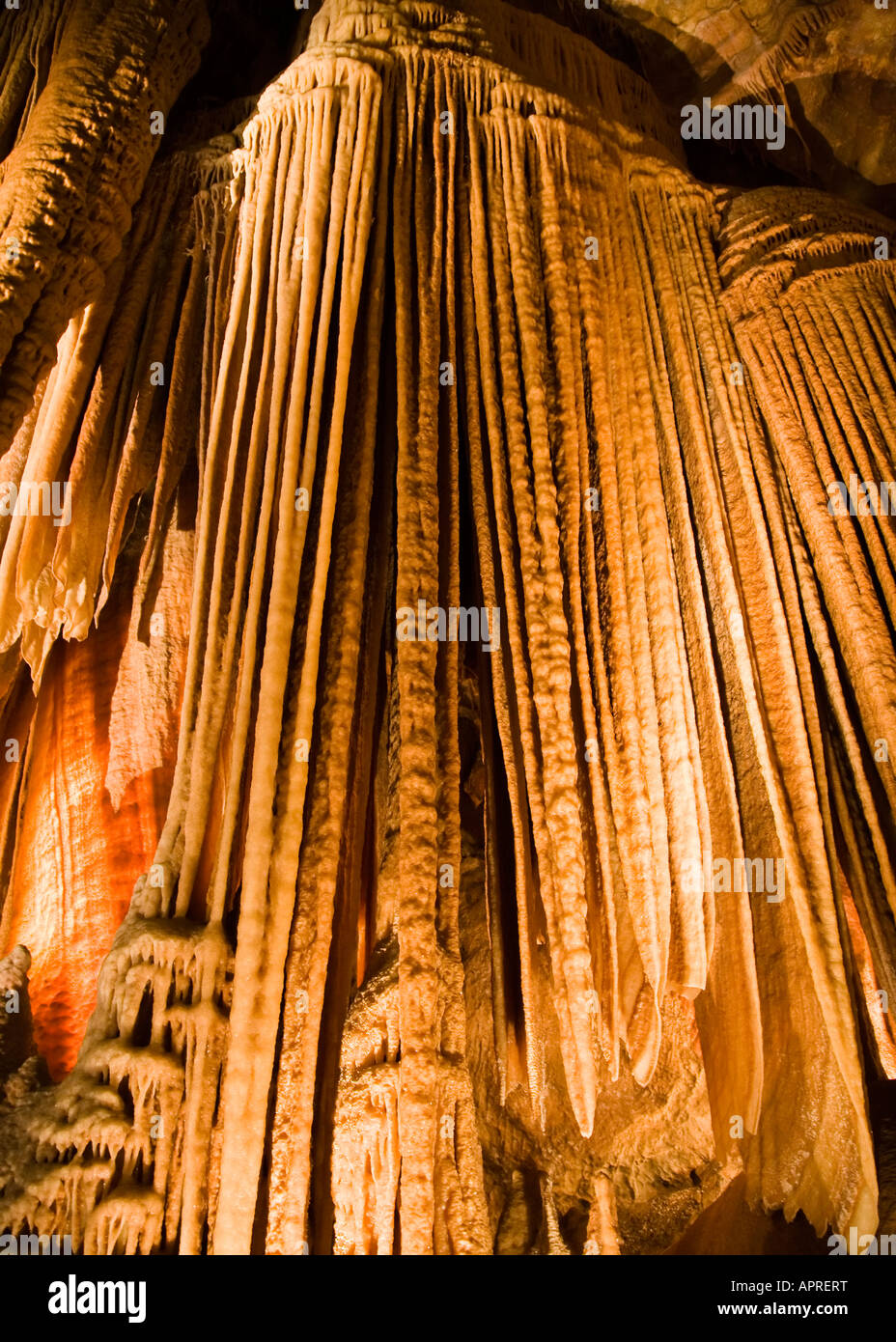 Stalactites and stalagmites in the Jenolan Caves, Blue Mountains ...