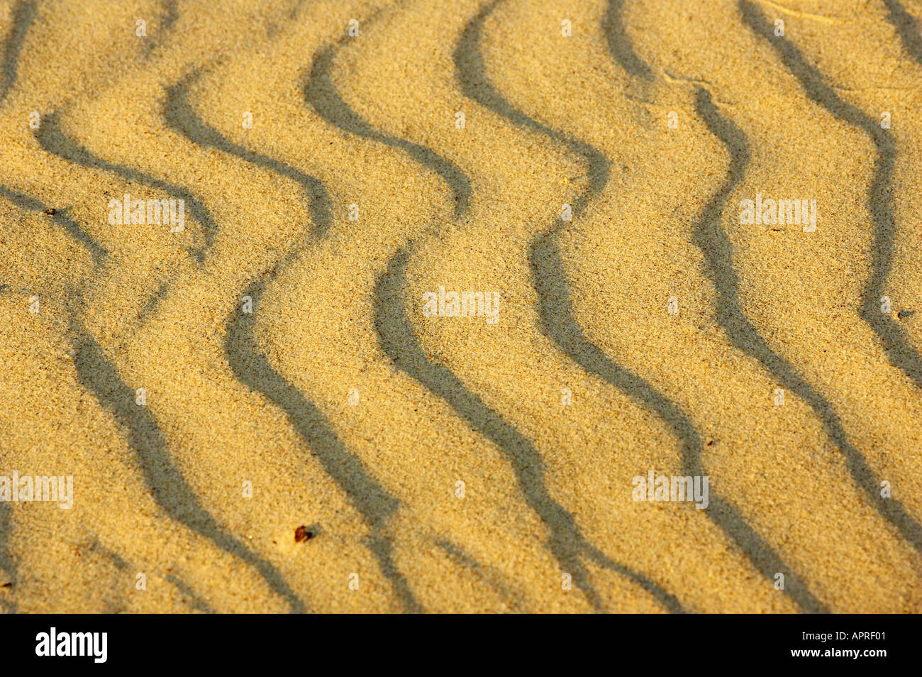 Sand Ripples Queensland Australia Stock Photo - Alamy
