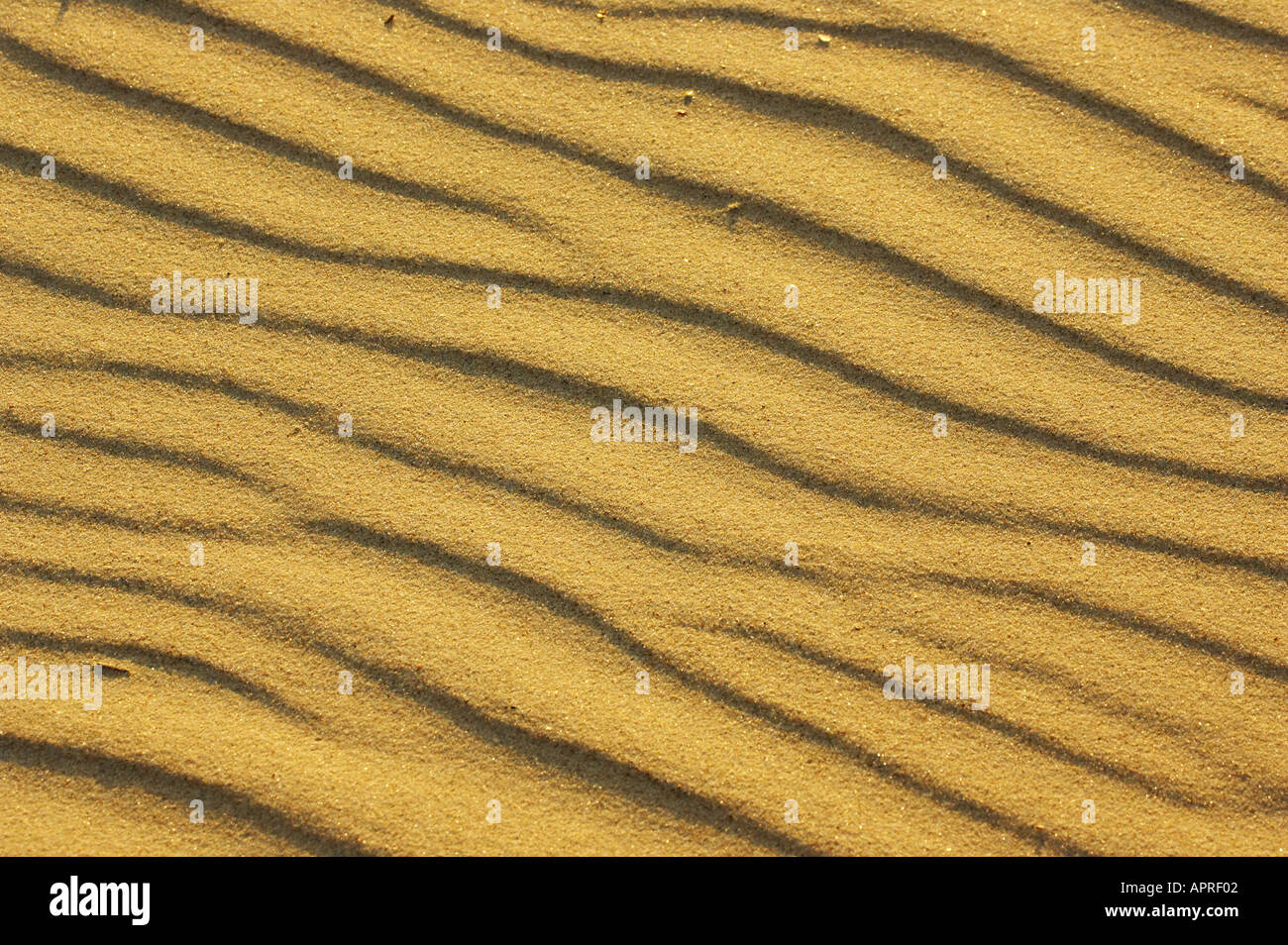 Sand Ripples Queensland Australia Stock Photo - Alamy