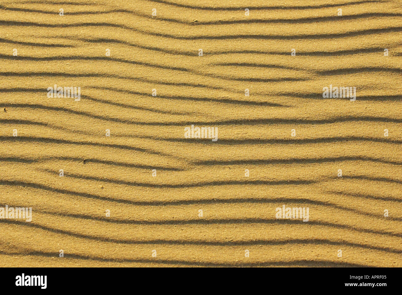 Sand Ripples Queensland Australia Stock Photo - Alamy