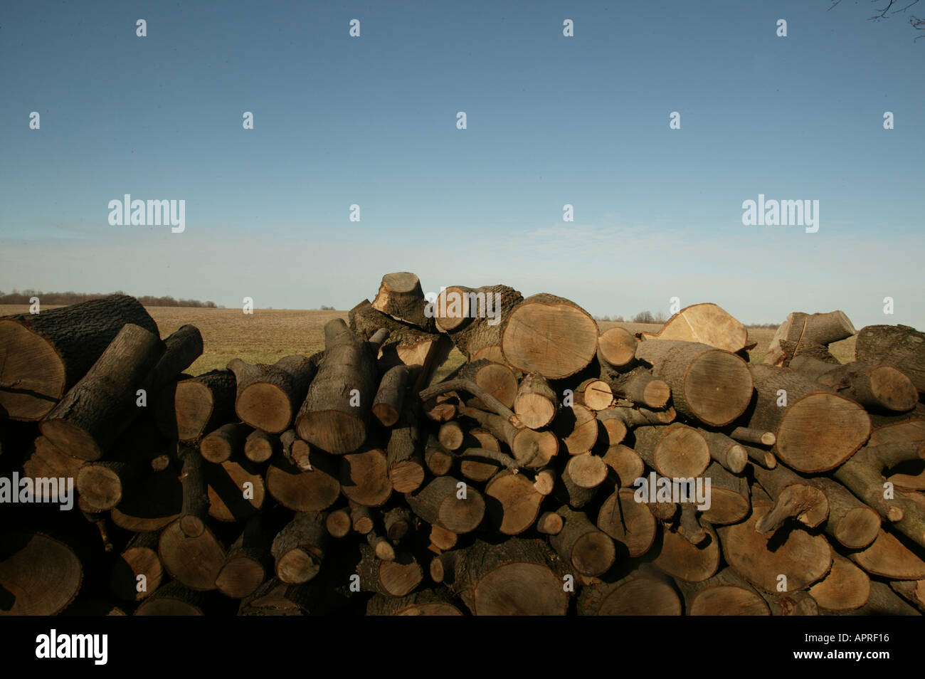 Organized firewood hi-res stock photography and images - Alamy