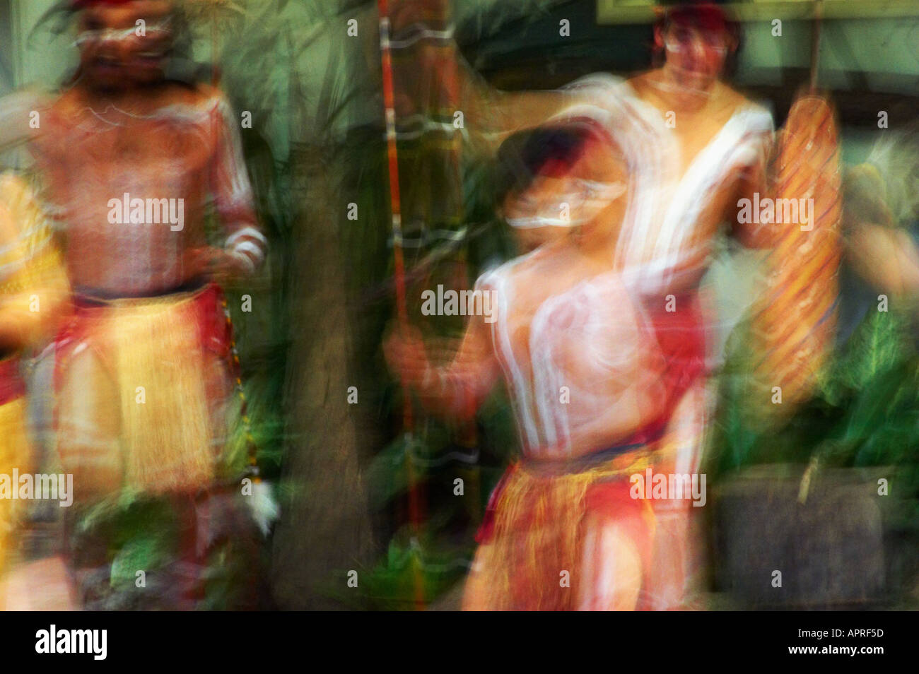 Australian indigenous body paint hi-res stock photography and images ...