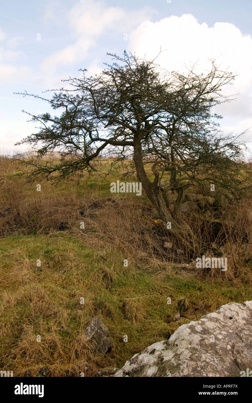 Swept hi-res stock photography and images - Alamy