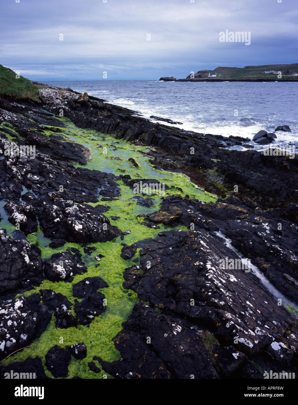 Shoreline at Lower Aird looking over Kilmaluag Bay, Trotternish, Skye ...