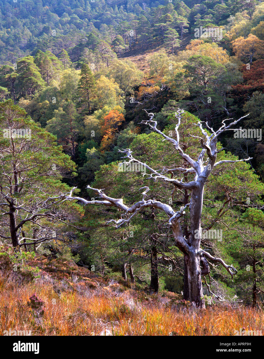 Skeleton gorge hi-res stock photography and images - Alamy