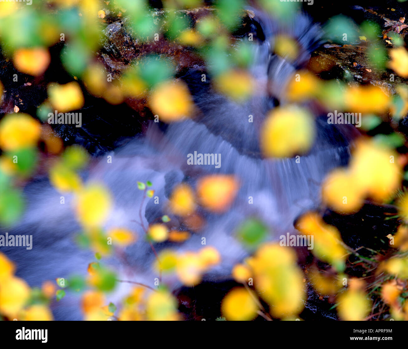 Torridon river autumn hi-res stock photography and images - Alamy