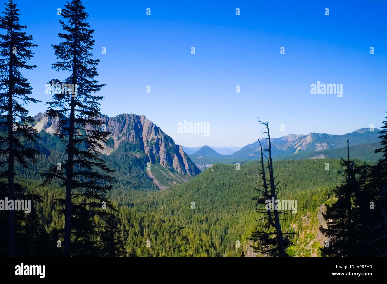 Mount rainier inspiration point hi-res stock photography and images - Alamy
