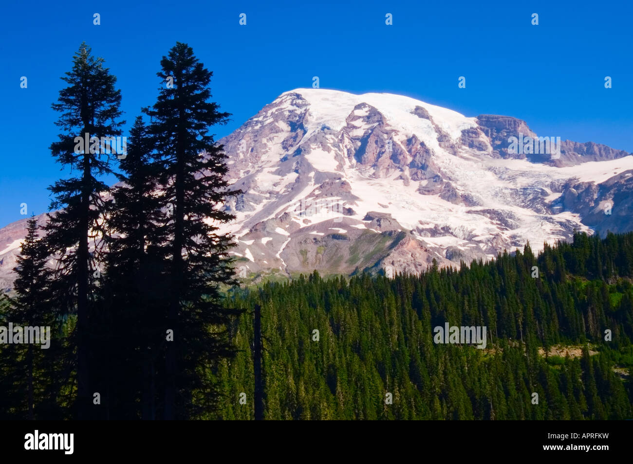Mount rainier inspiration point hi-res stock photography and images - Alamy