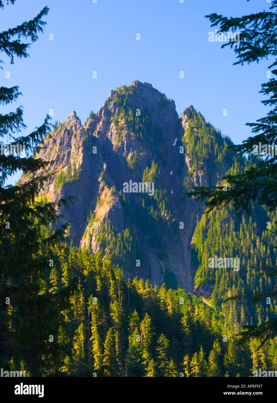 Mount rainier inspiration point hi-res stock photography and images - Alamy