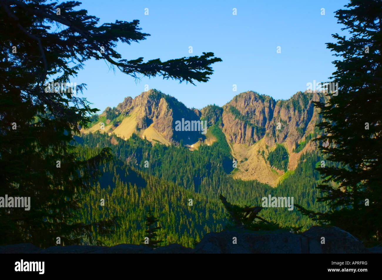 The pinnacle and the castle tatoosh hi-res stock photography and images ...