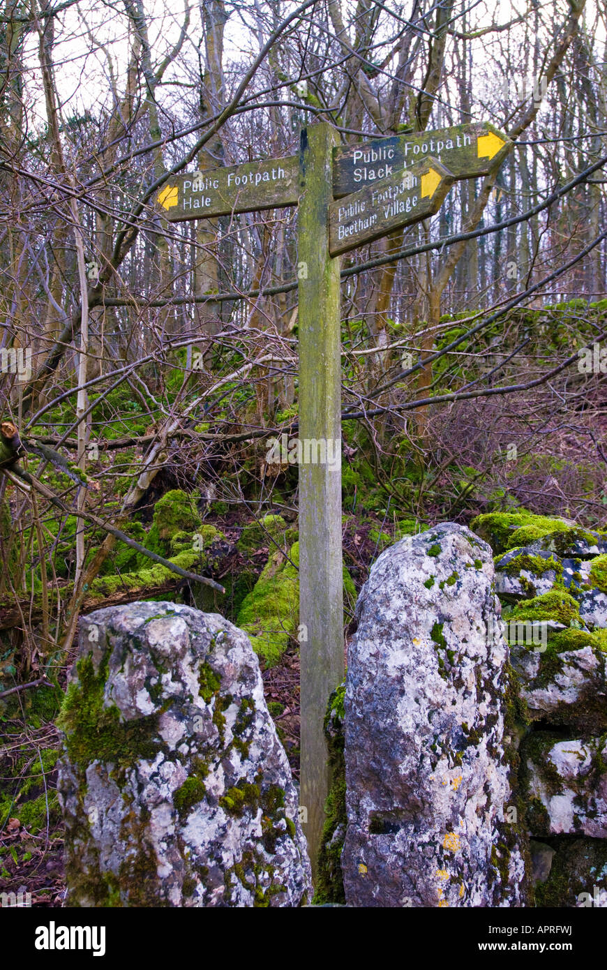 Limestone link footpath hi-res stock photography and images - Alamy