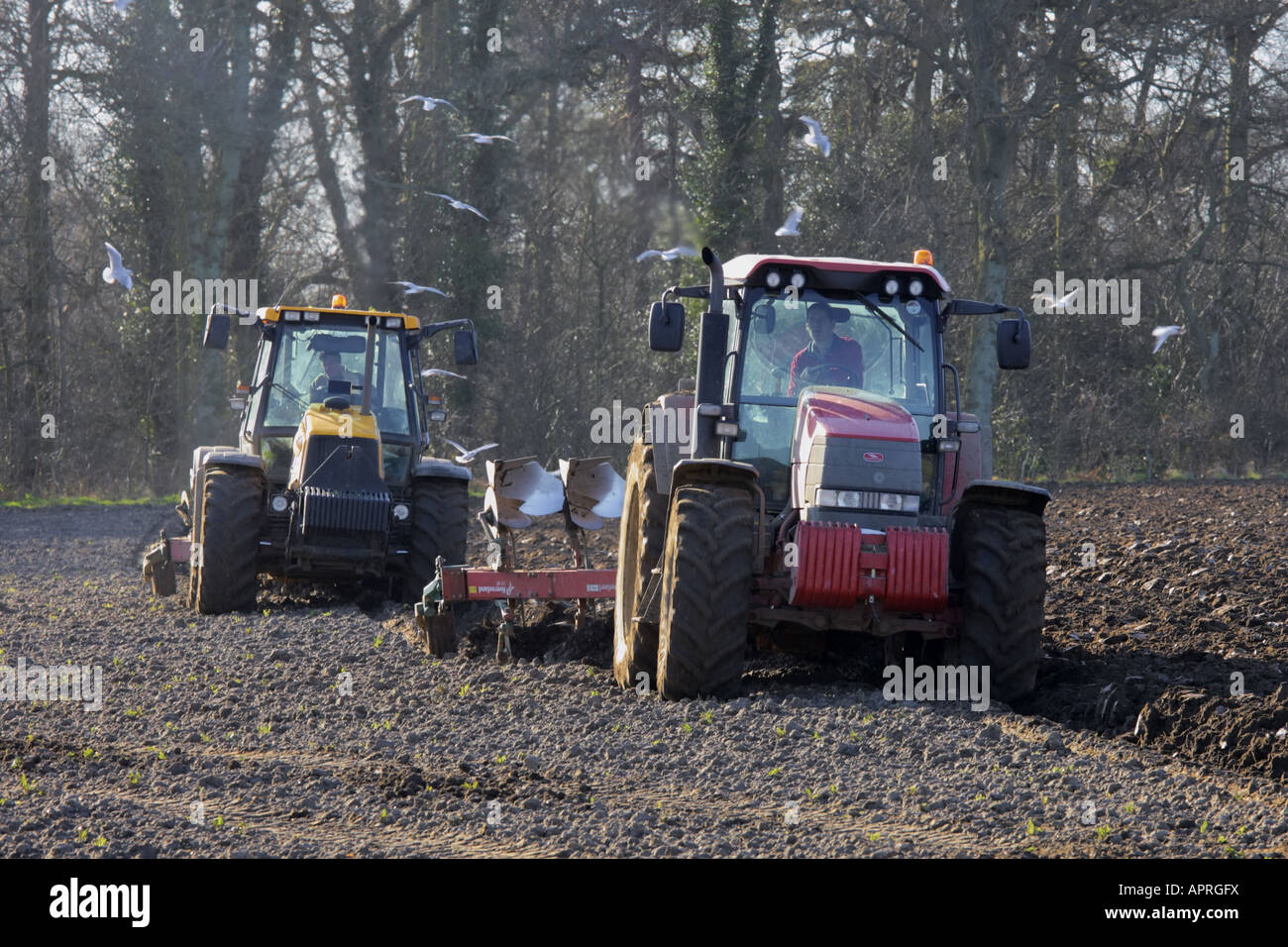 Double Furrow Plough High Resolution Stock Photography and Images - Alamy
