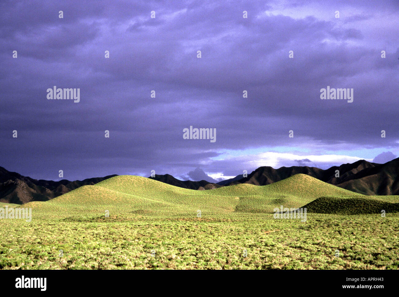 Evening landscape rolling hills in Tibet China Stock Photo - Alamy