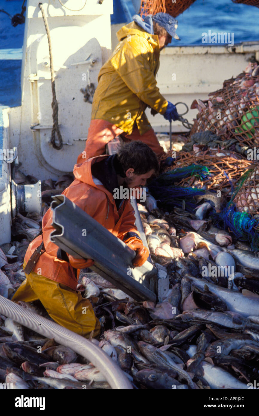 commercial fishing vessel from bycatch off the coast of the Aleutian ...