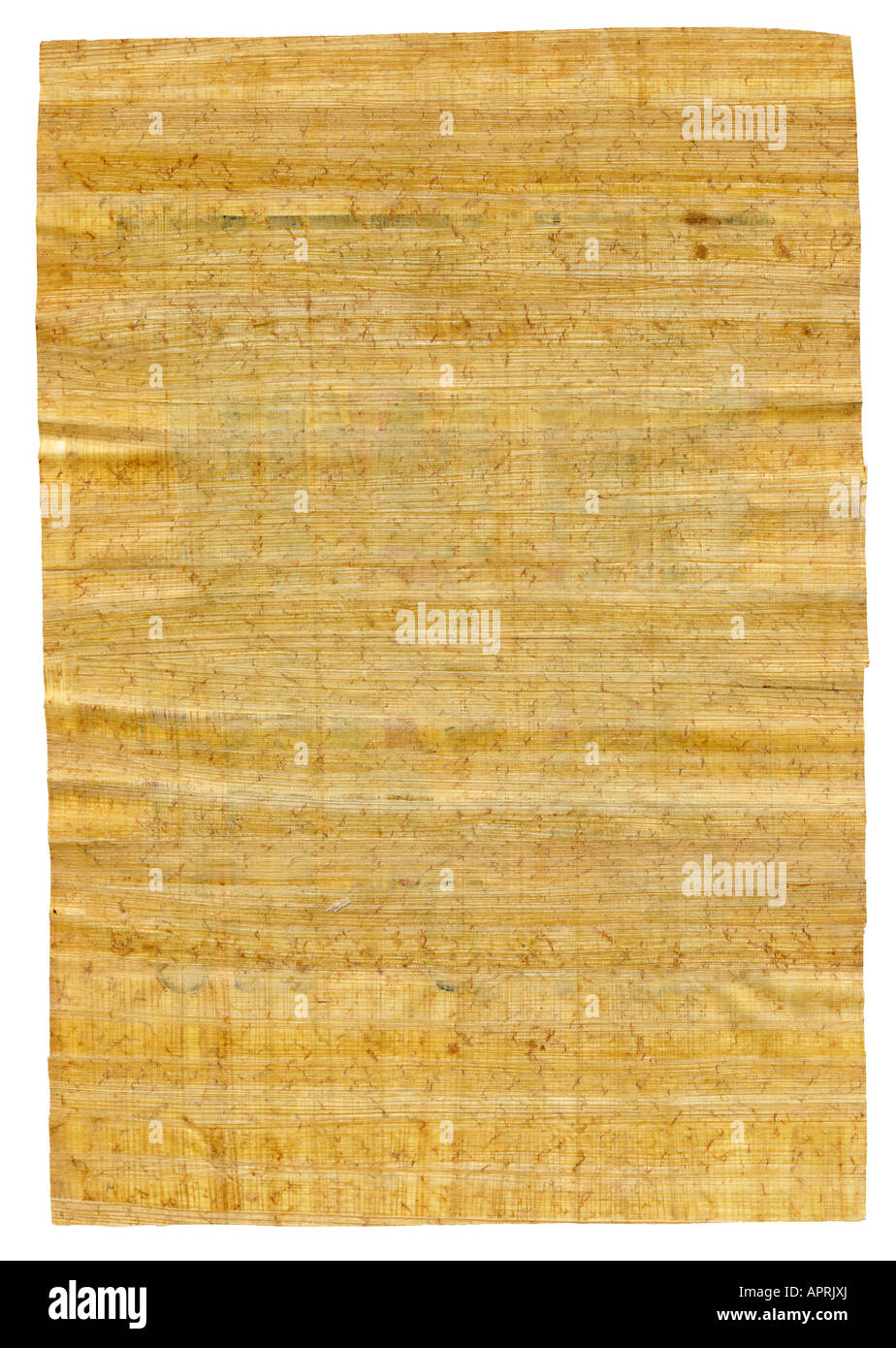 Papyrus sheet of paper on white background Stock Photo - Alamy