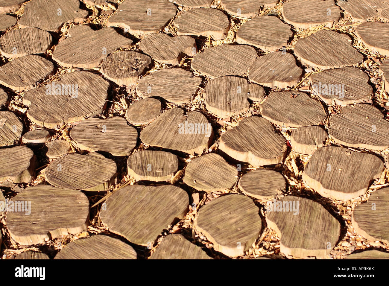 Floor of summerhouse made from circular sawn wood sections Stock Photo ...