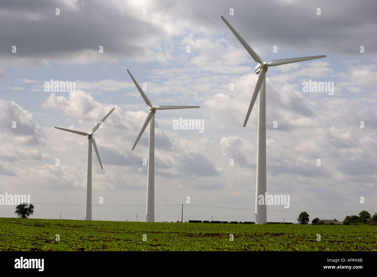 Windturbines at the Blood Hill Windfarm Lower Somersham Norfolk UK ...