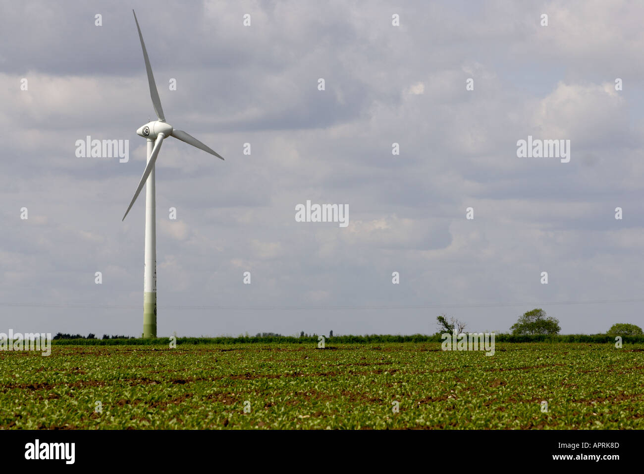 Windturbines at the Blood Hill Windfarm Lower Somersham Norfolk UK ...