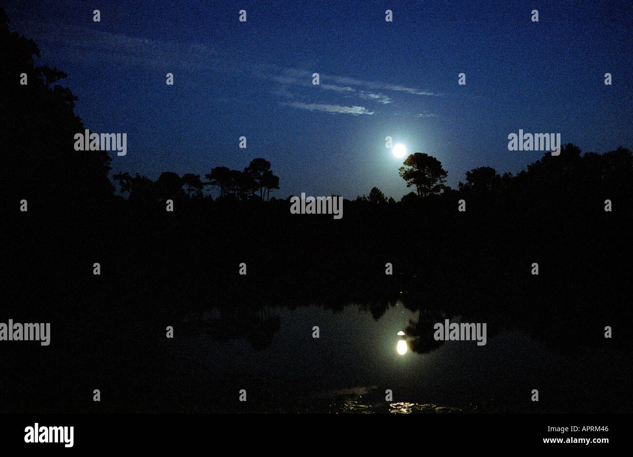 full moonrise scenic Stock Photo - Alamy