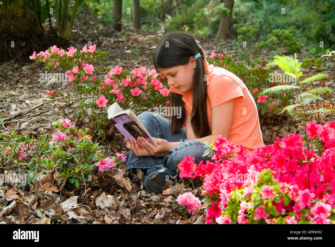 A girl reading The Secret Garden while sitting amongst flowering ...