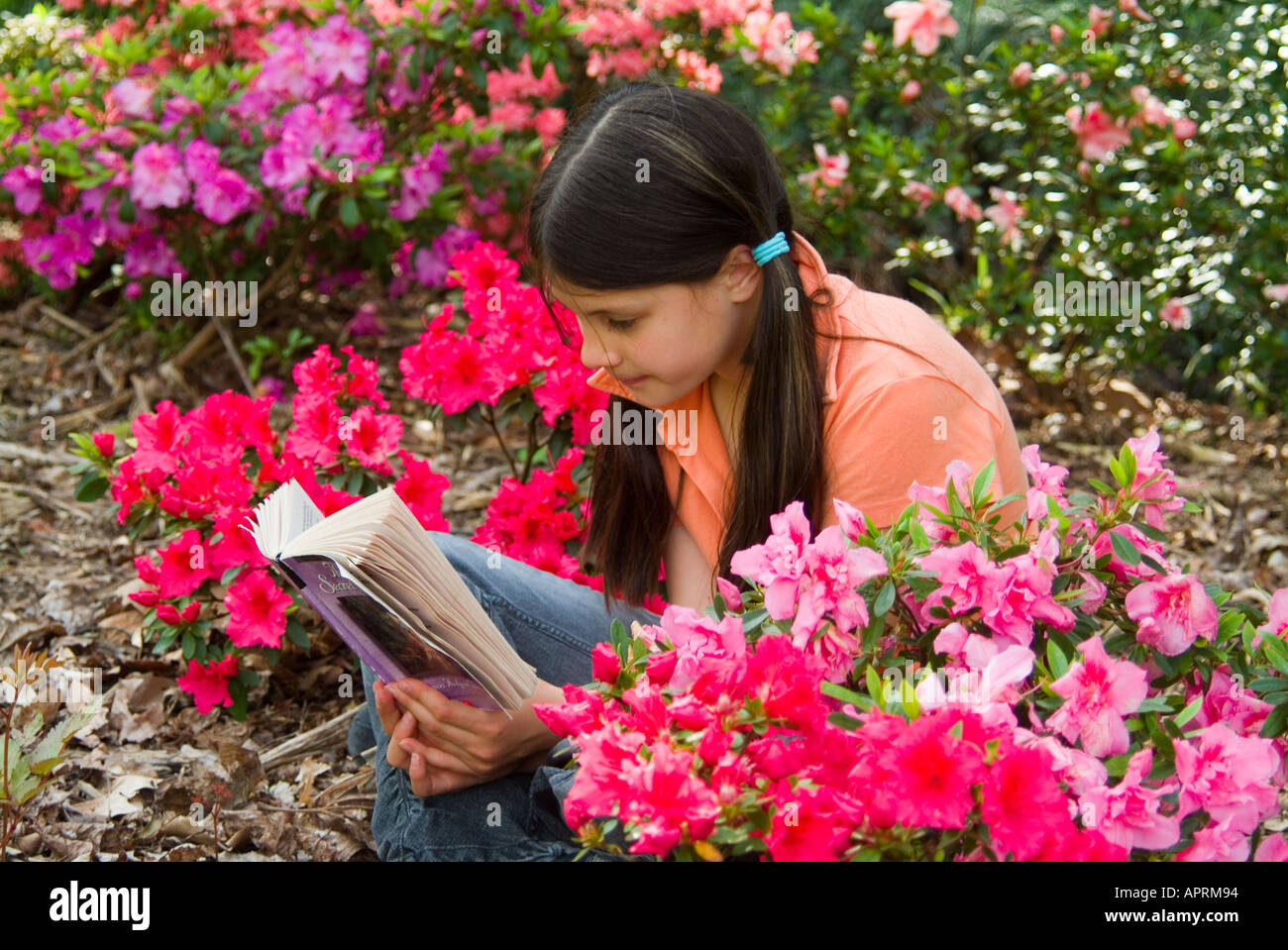 A girl reading The Secret Garden while sitting amongst flowering ...