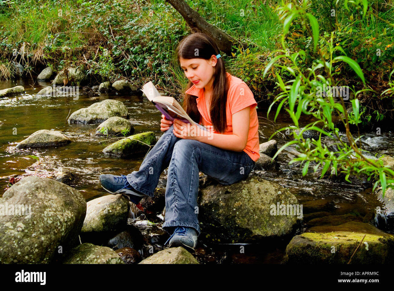 A girl reading The Secret Garden while sitting on rocks by a stream ...