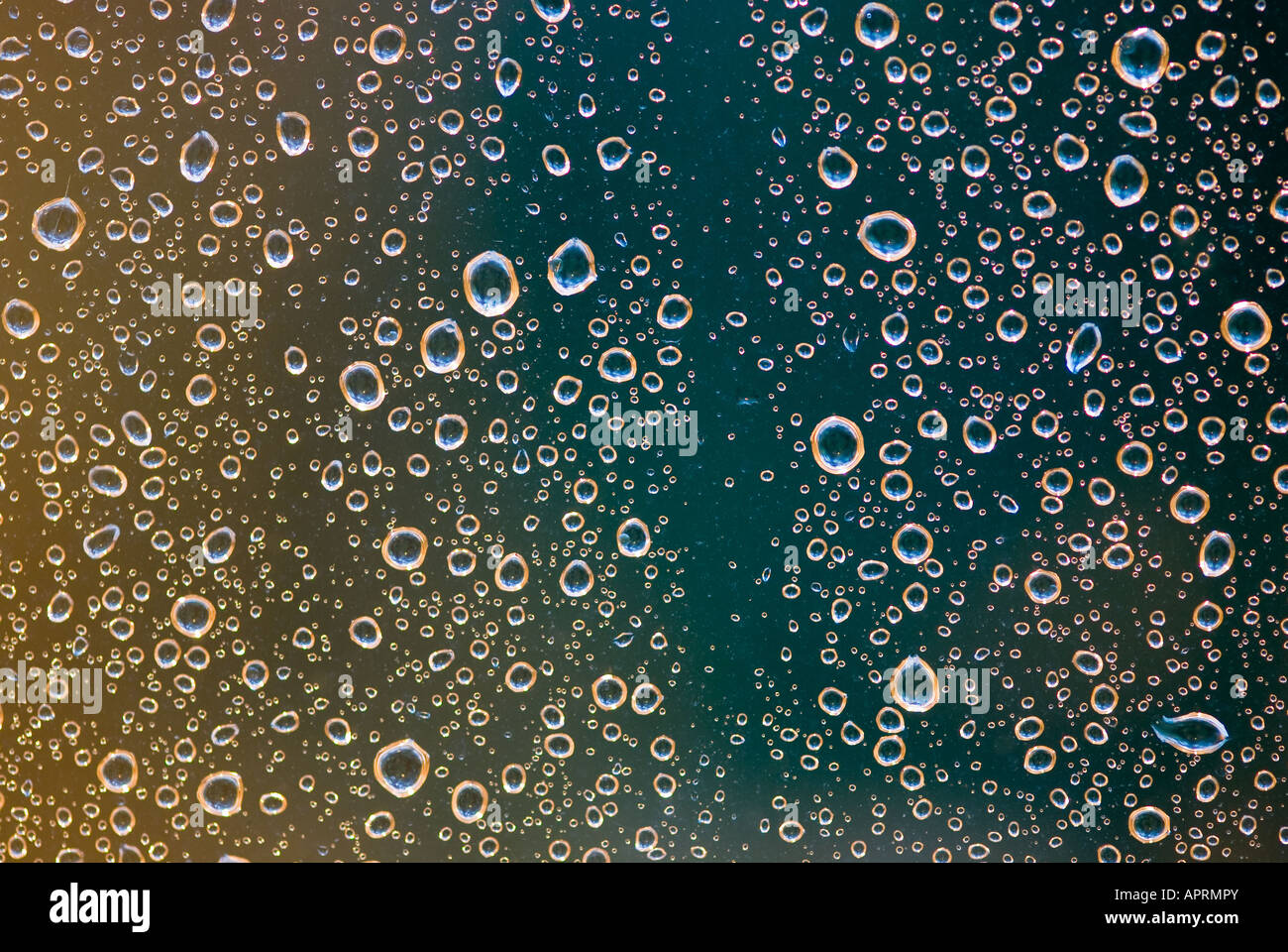 rain drops in the windows Stock Photo - Alamy
