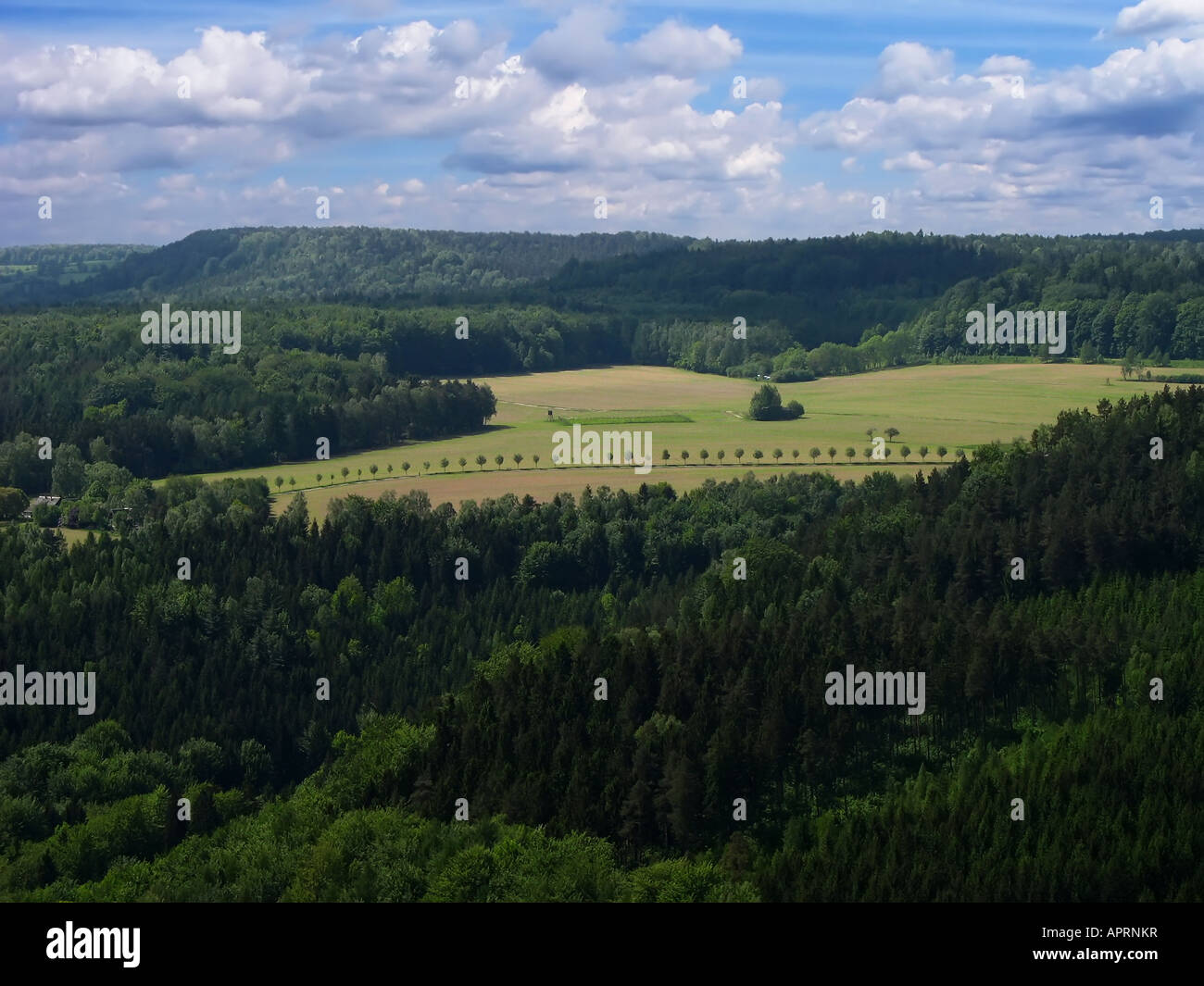 the Saxony Switzerland in Germany Stock Photo - Alamy