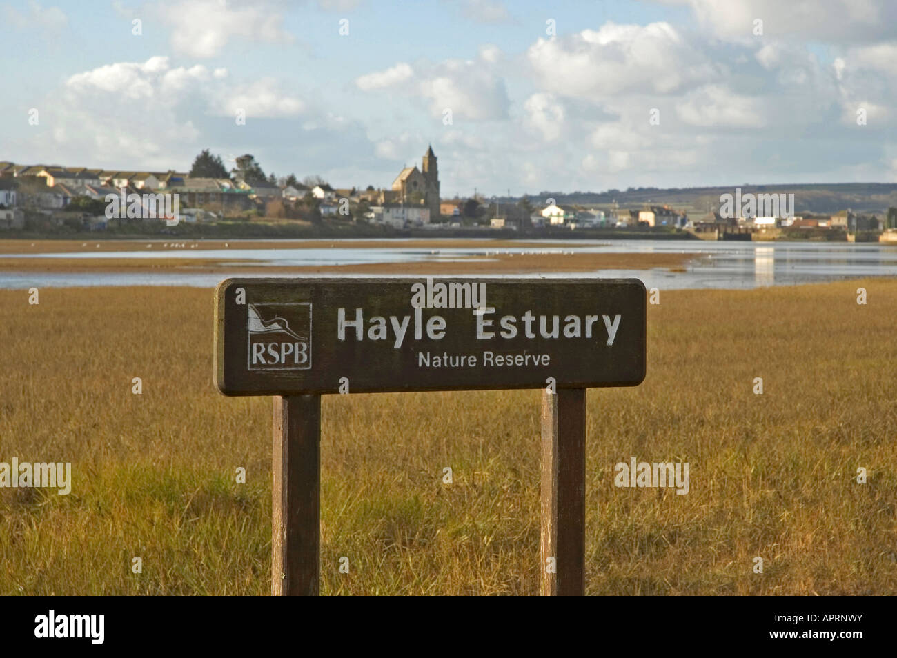 estuary and nature reserve at hayle in cornwall Stock Photo - Alamy