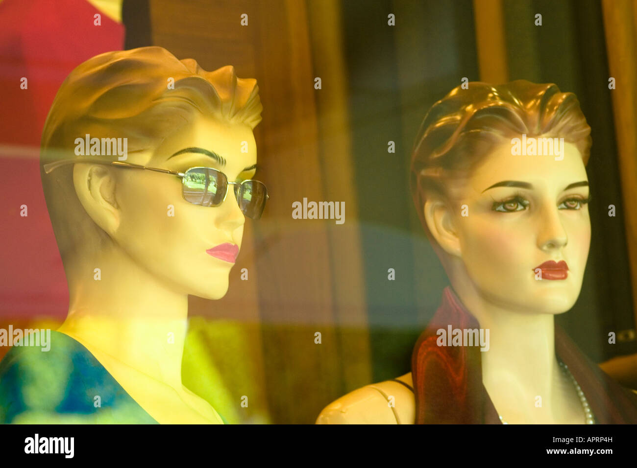 Glamorous Heads, Female Shop Dummies Modelling Clothes in a Tailors ...