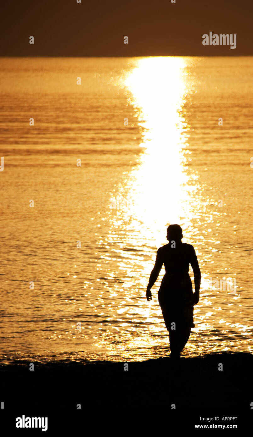 human sadow in the Gold Sunset Stock Photo - Alamy