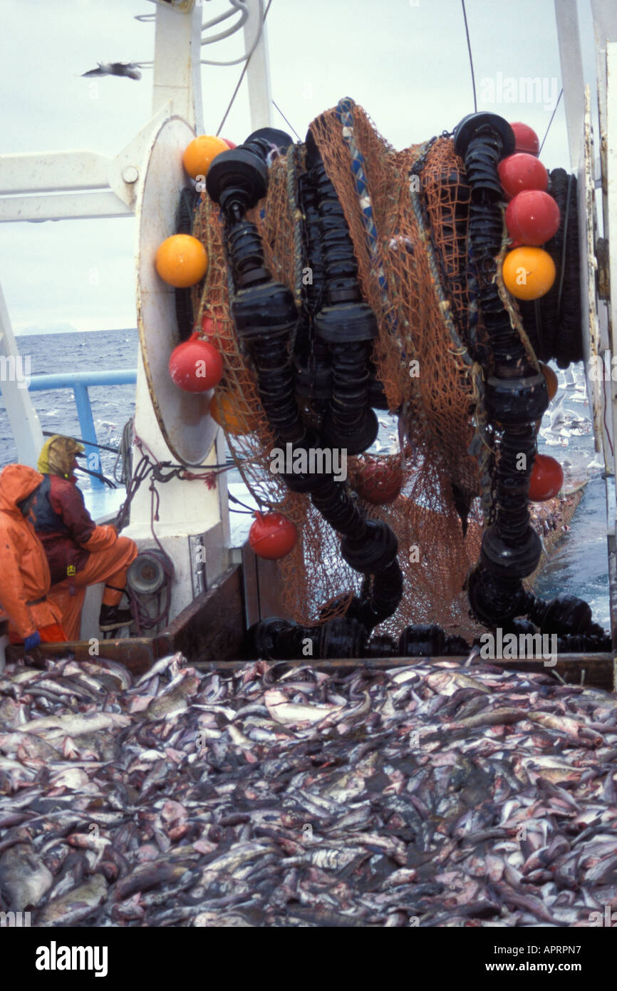 commercial fishing vessel drag net of bycatch off the coast of the ...