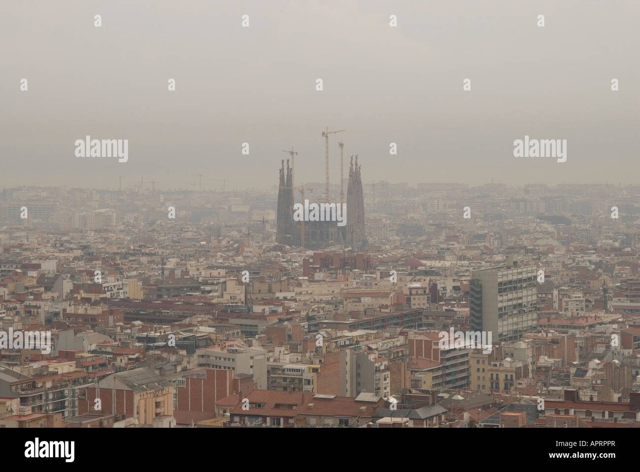 Neseco hi-res stock photography and images - Alamy