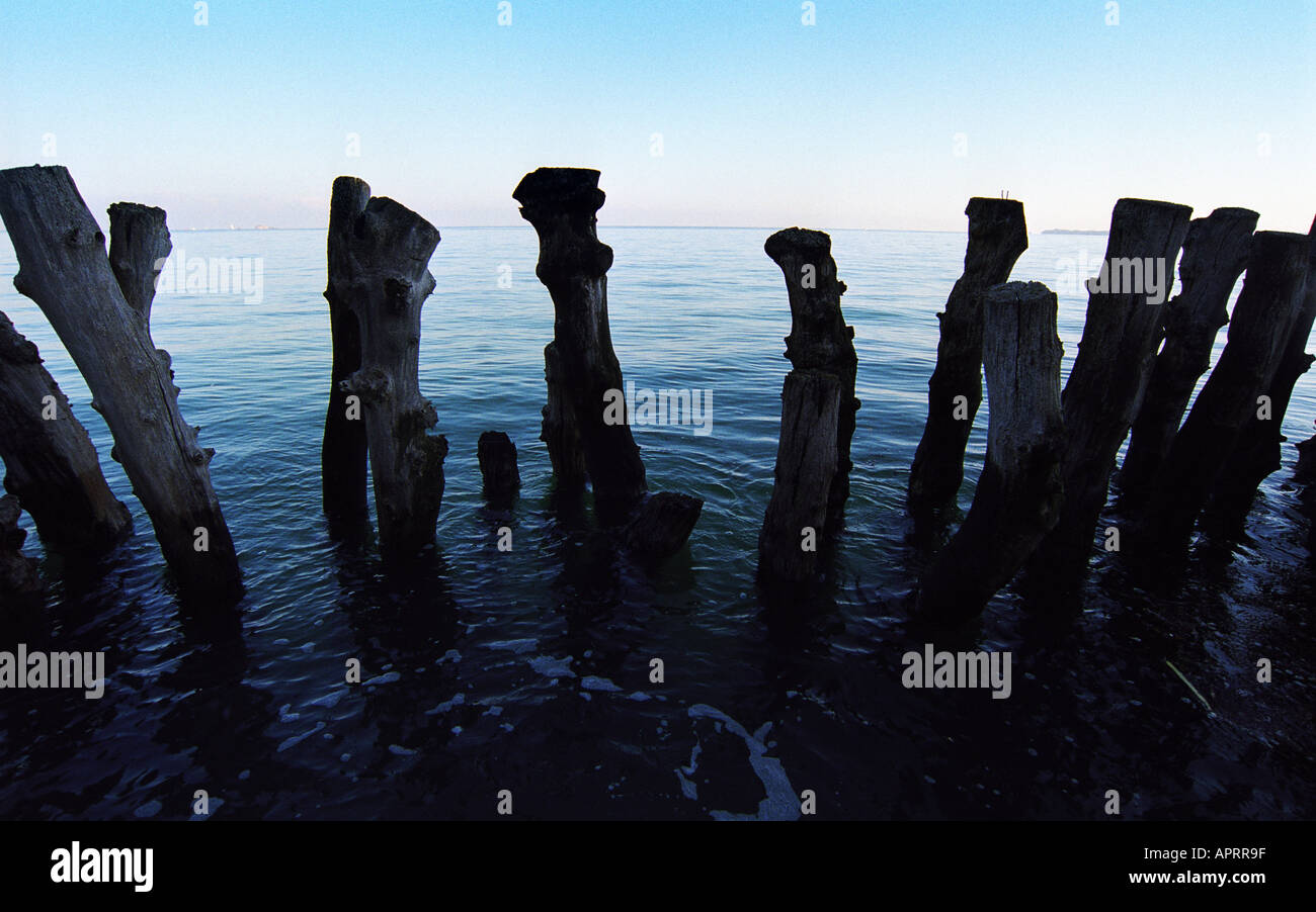 Log erosion barrier hi-res stock photography and images - Alamy