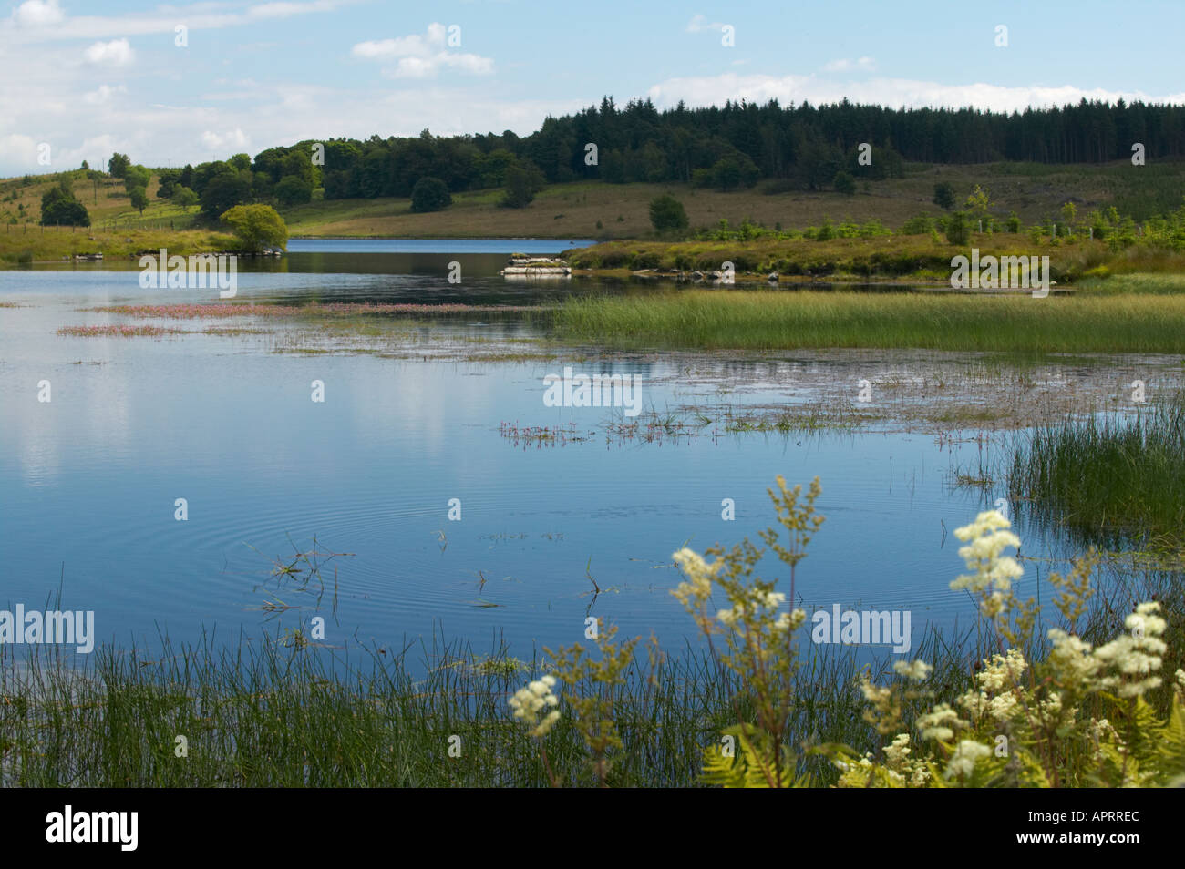 Loch ken hi-res stock photography and images - Alamy