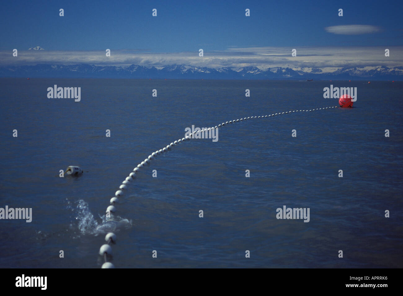 Open skiffs hi-res stock photography and images - Alamy