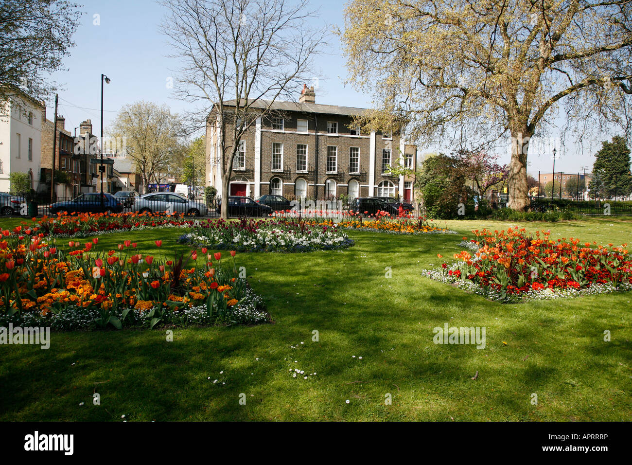 Addington Square in Camberwell, London Stock Photo - Alamy