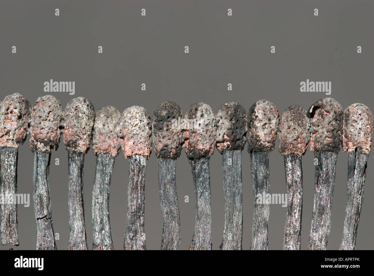 Lighting torch with match hi-res stock photography and images - Alamy