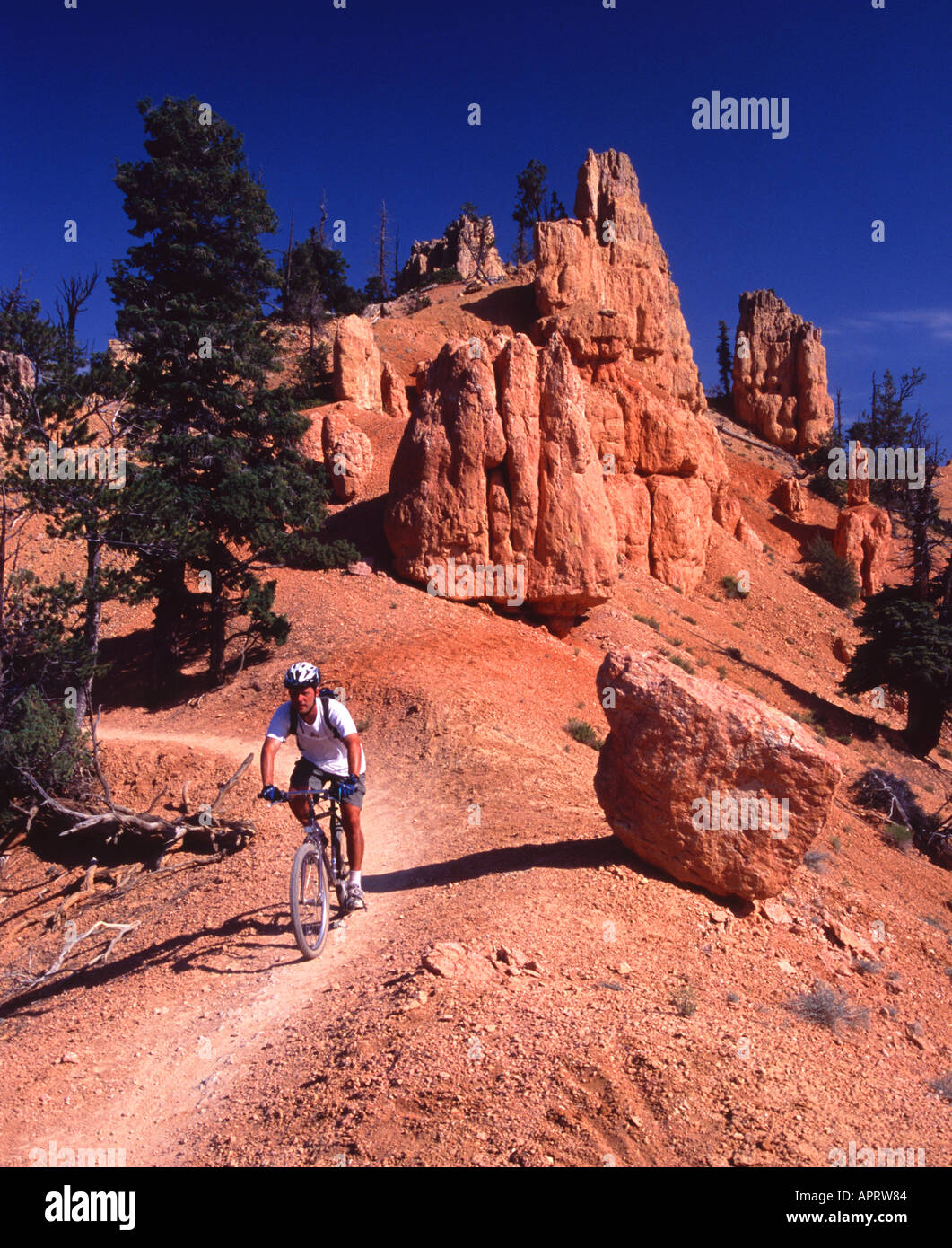 Mountain biker in red hi-res stock photography and images - Alamy