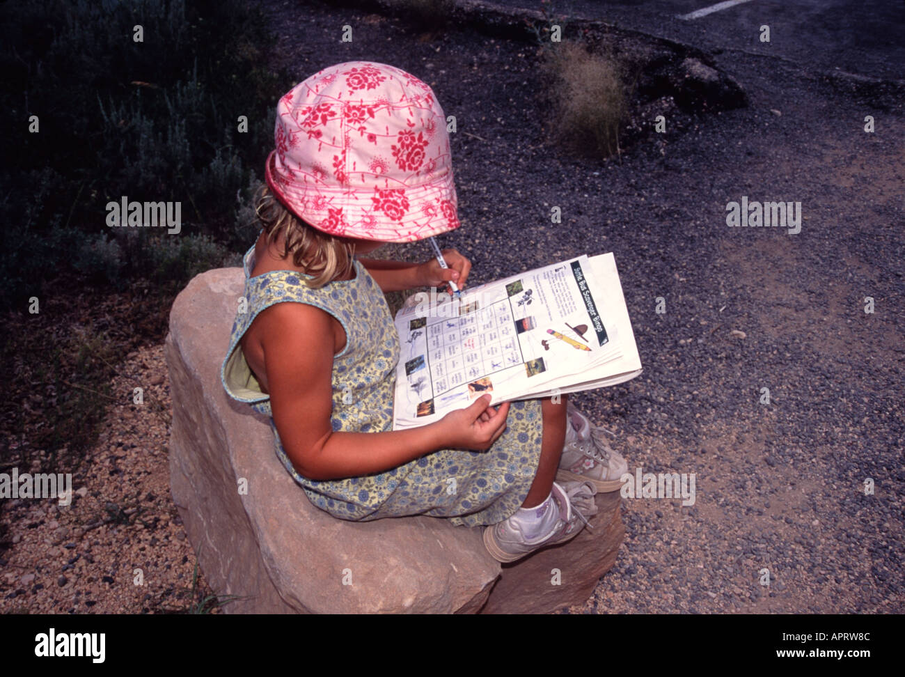 A little girl working on her Junior Ranger booklet in Bryce Canyon ...