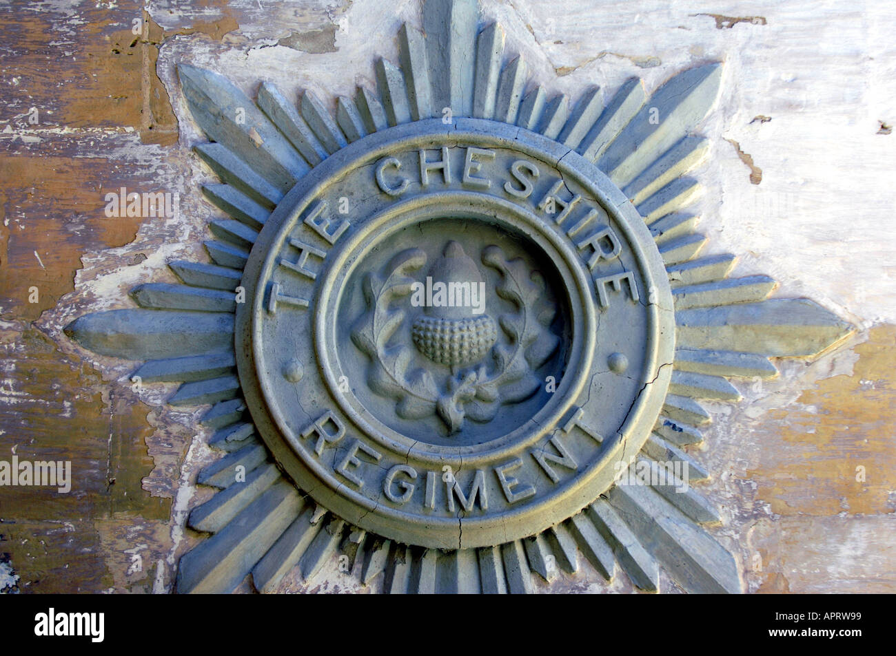 crest, emblem, the cheshire regiment, british army, military Stock ...