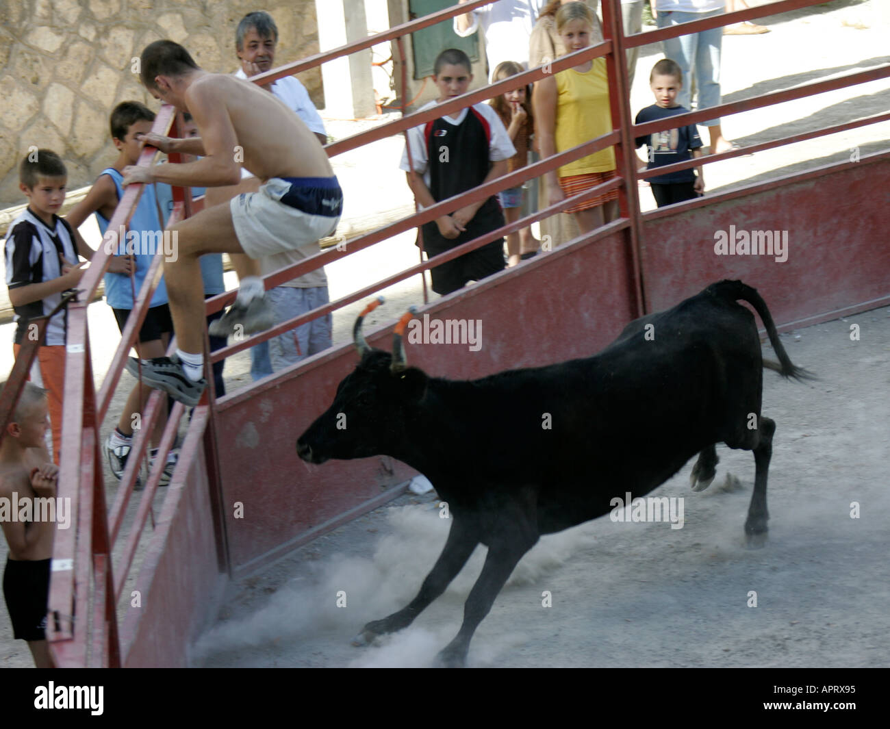 Bull chasing man hi-res stock photography and images - Alamy