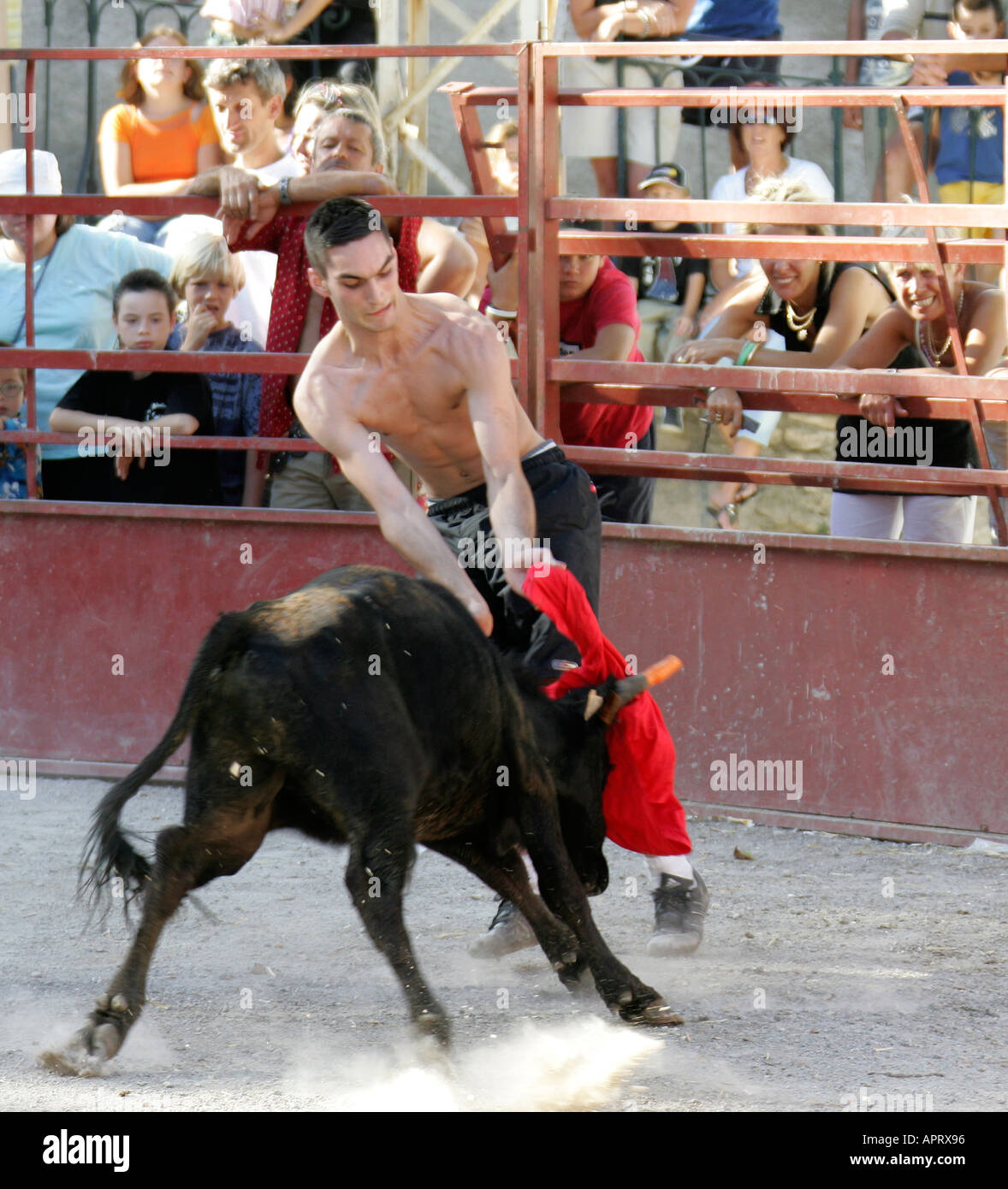 Bull chasing man hi-res stock photography and images - Alamy