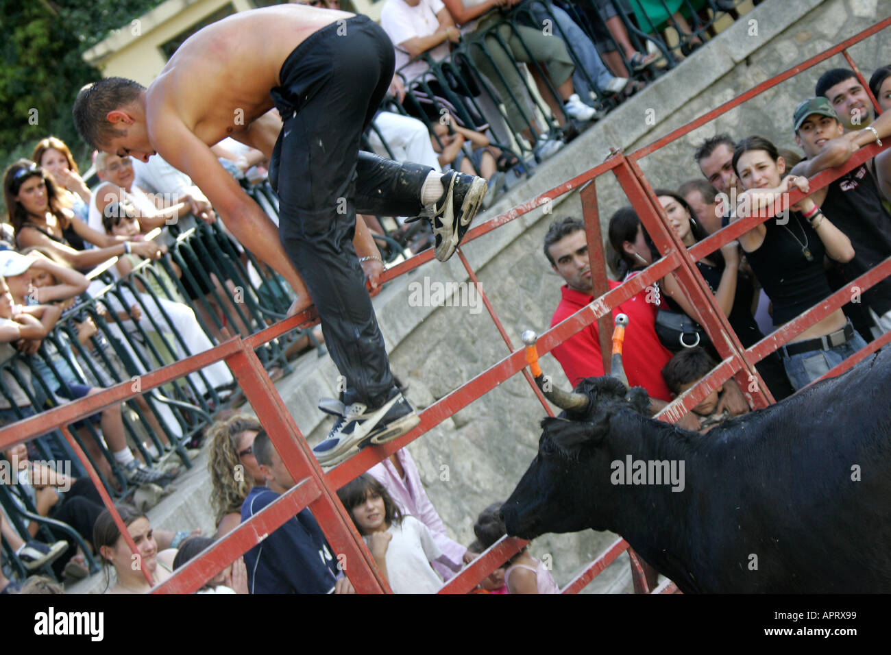Bull chasing man hi-res stock photography and images - Alamy