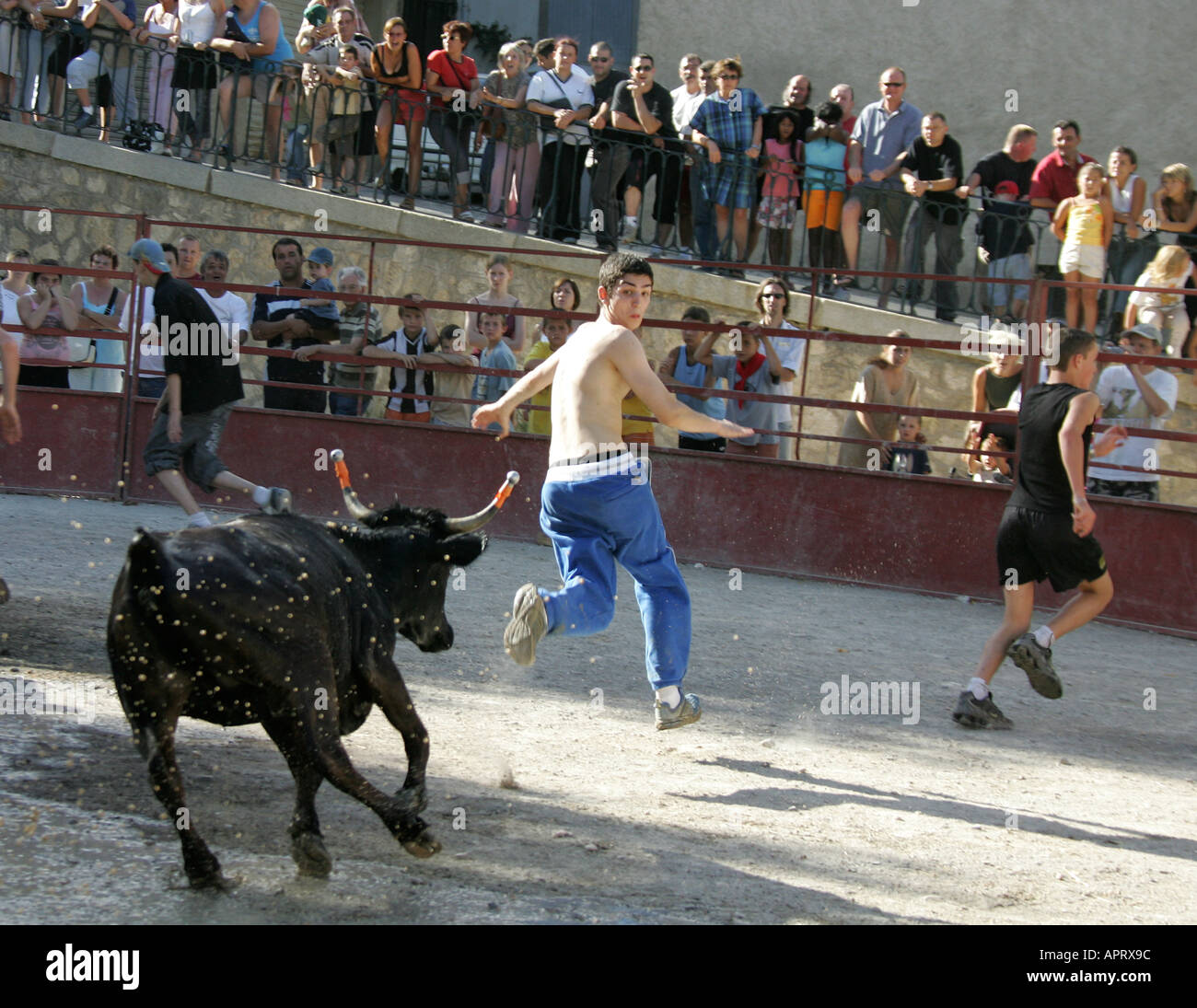 Man Taunting Bull High Resolution Stock Photography and Images - Alamy
